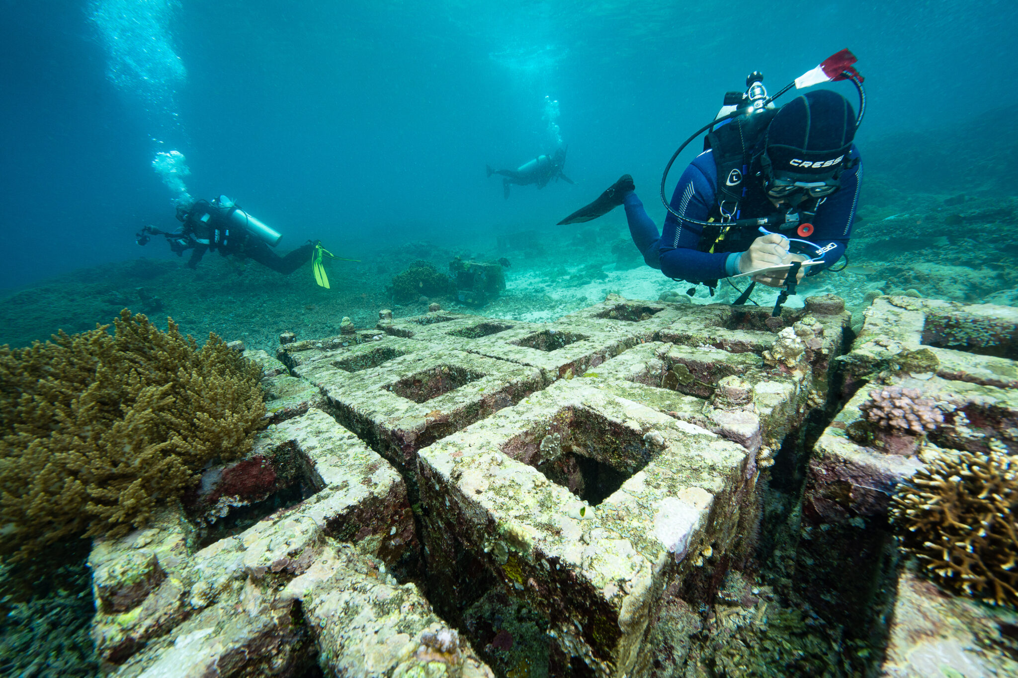 Restorasi Terumbu Karang Buat Pulau Obi Melimpah Ikan - senayantalks.com